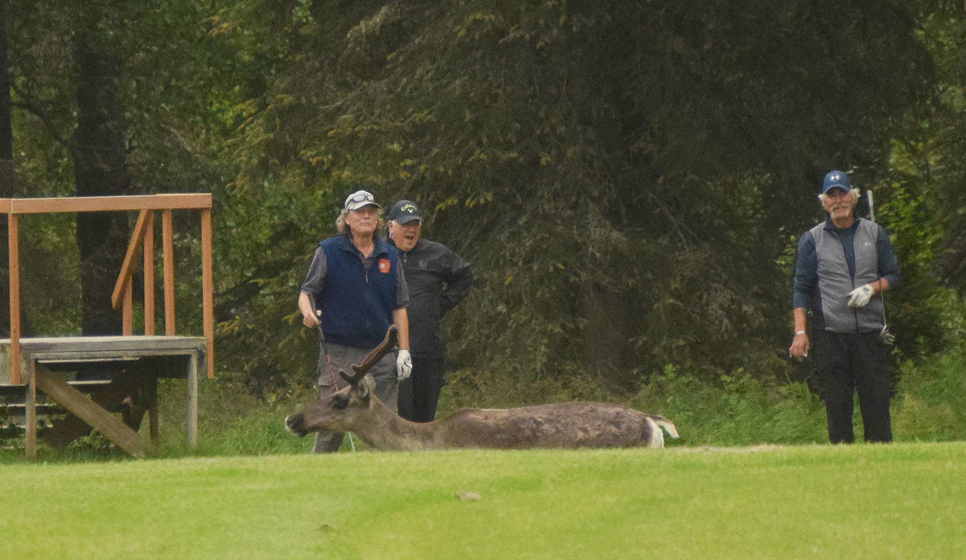 Reese emerges as Kenai Open champ | Peninsula Clarion