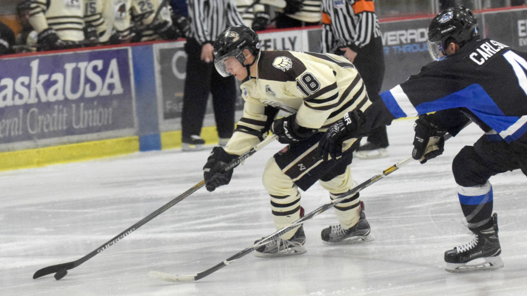 Brown Bears forward Lucas Carroll commits to UW-Stout | Peninsula Clarion