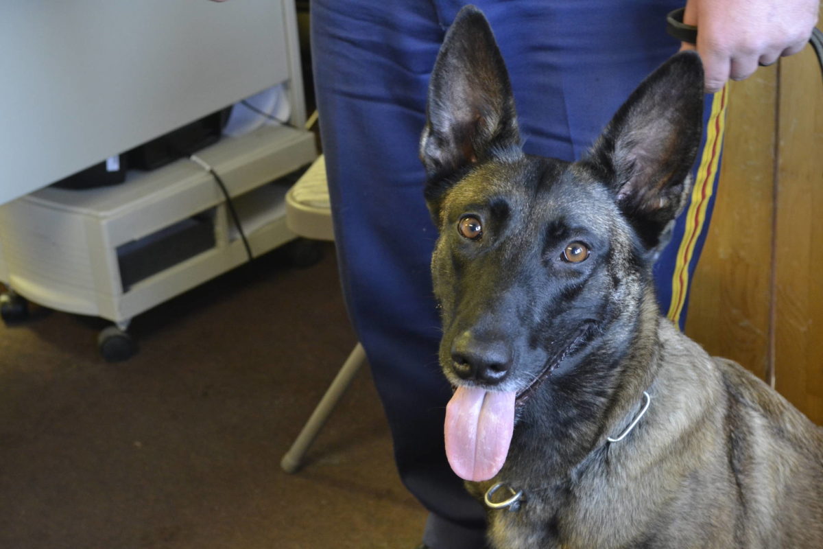 Soldotna troopers welcome new canine officer | Peninsula Clarion