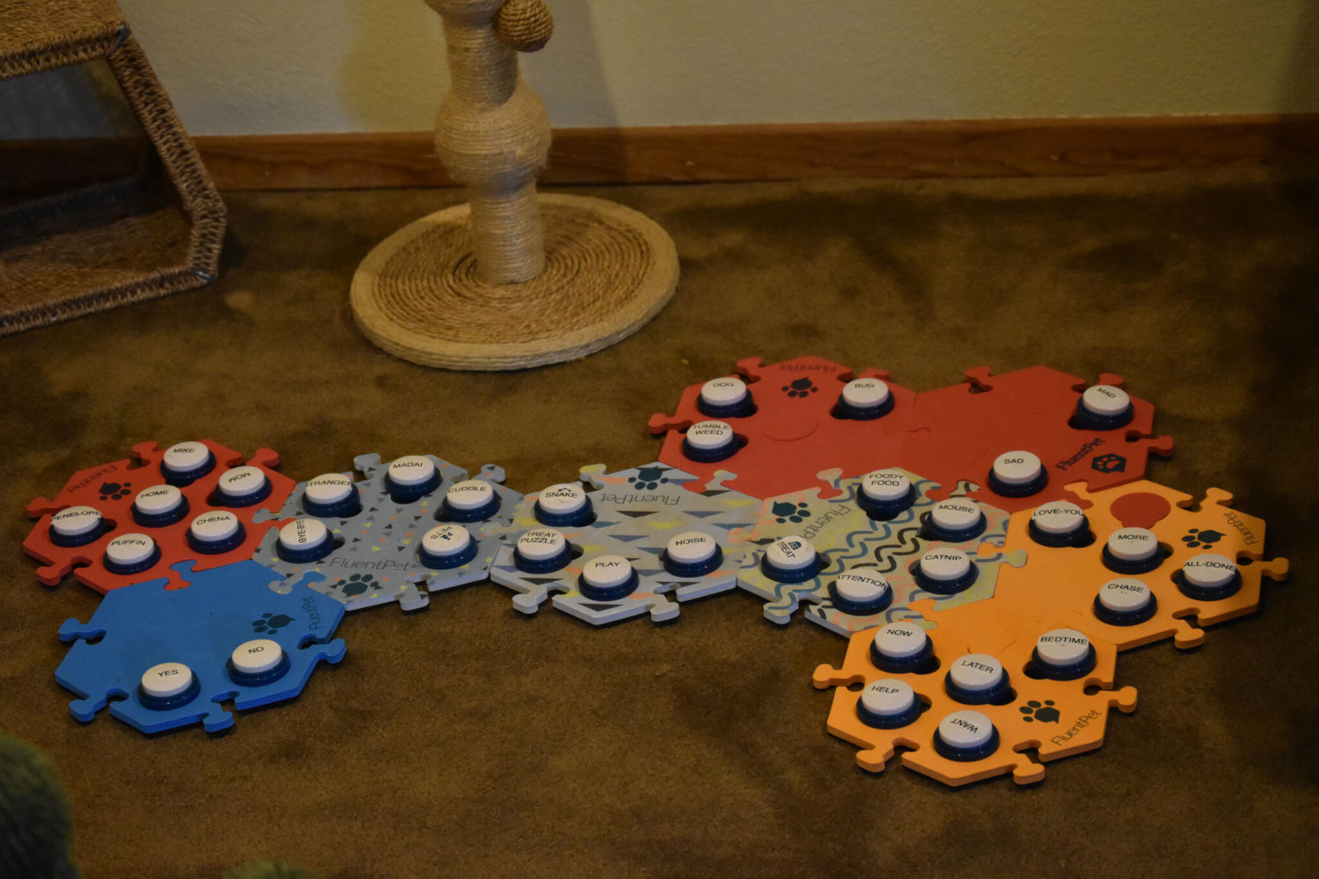 Puffin with the buttons | Peninsula Clarion