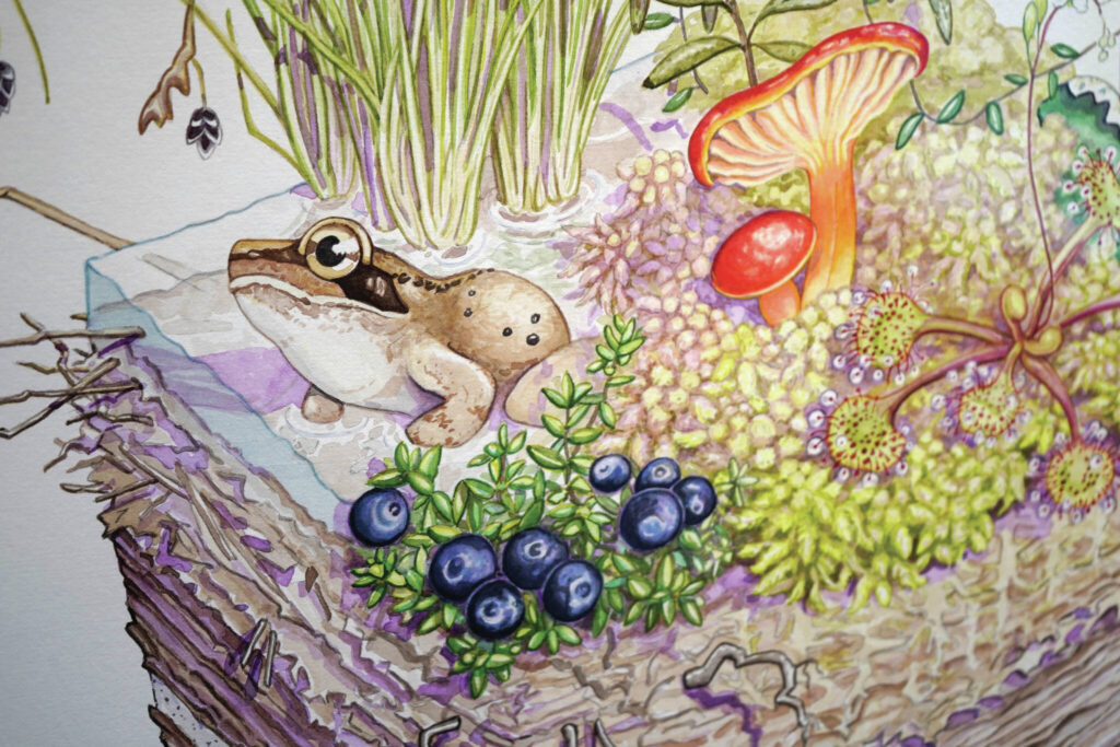 Recreating the magic of ‘infinitely complex’ nature | Peninsula Clarion