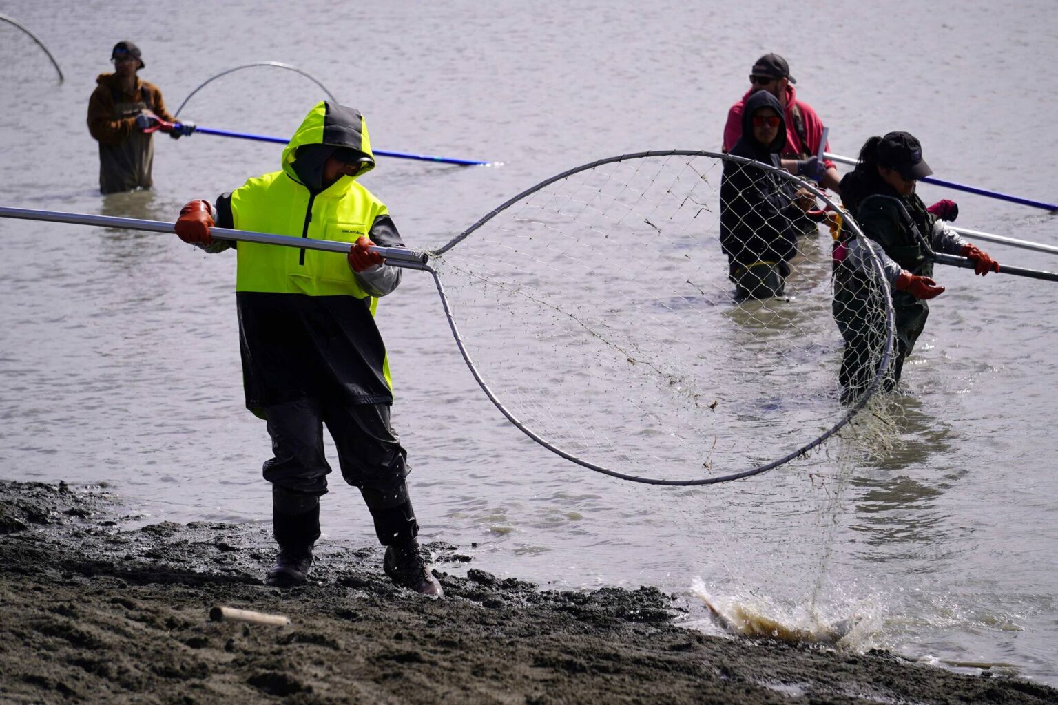 Kasilof River dipnetting opens with crowded beaches, ‘decent’ fishing ...