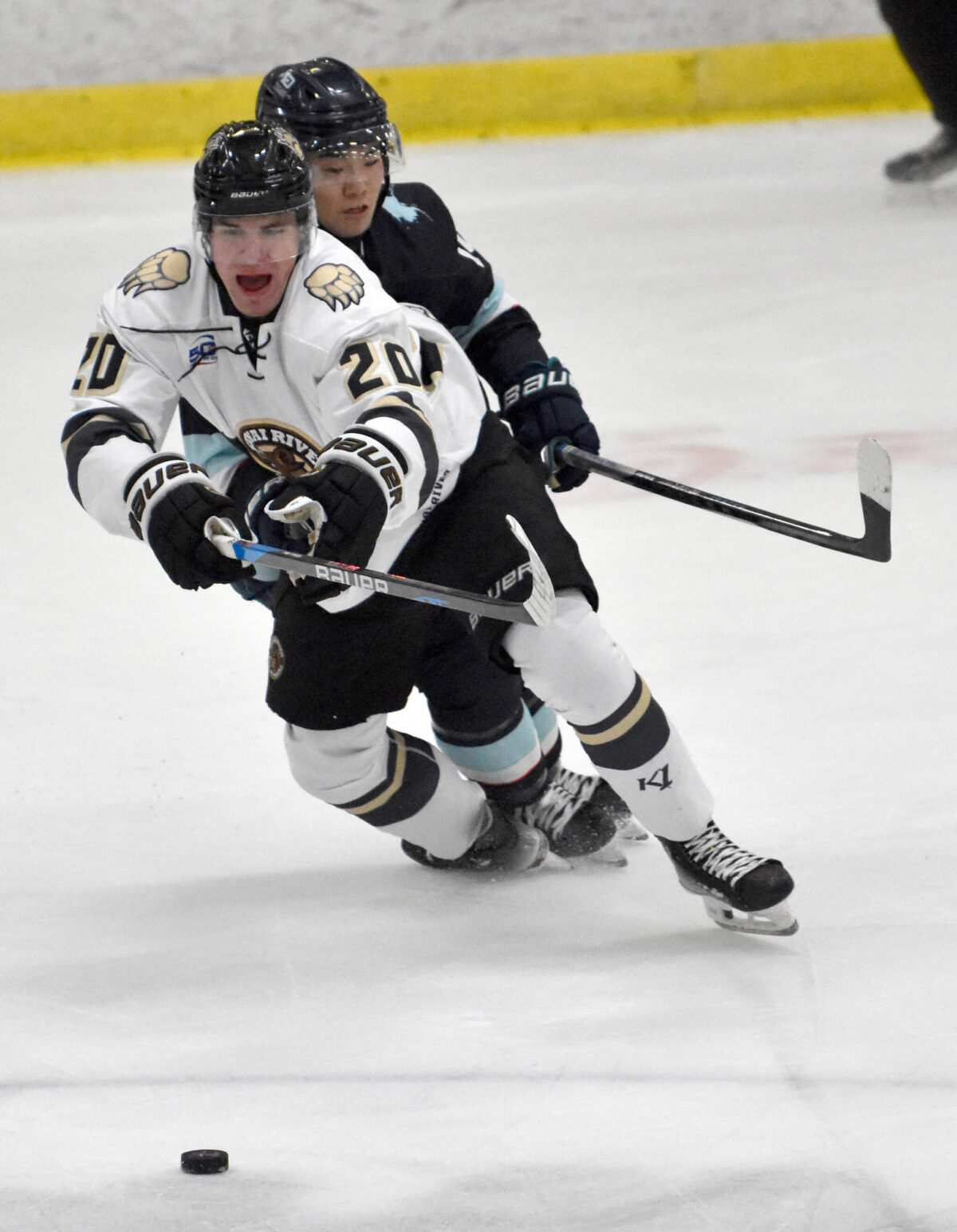 Wolverines sweep weekend from Brown Bears | Peninsula Clarion