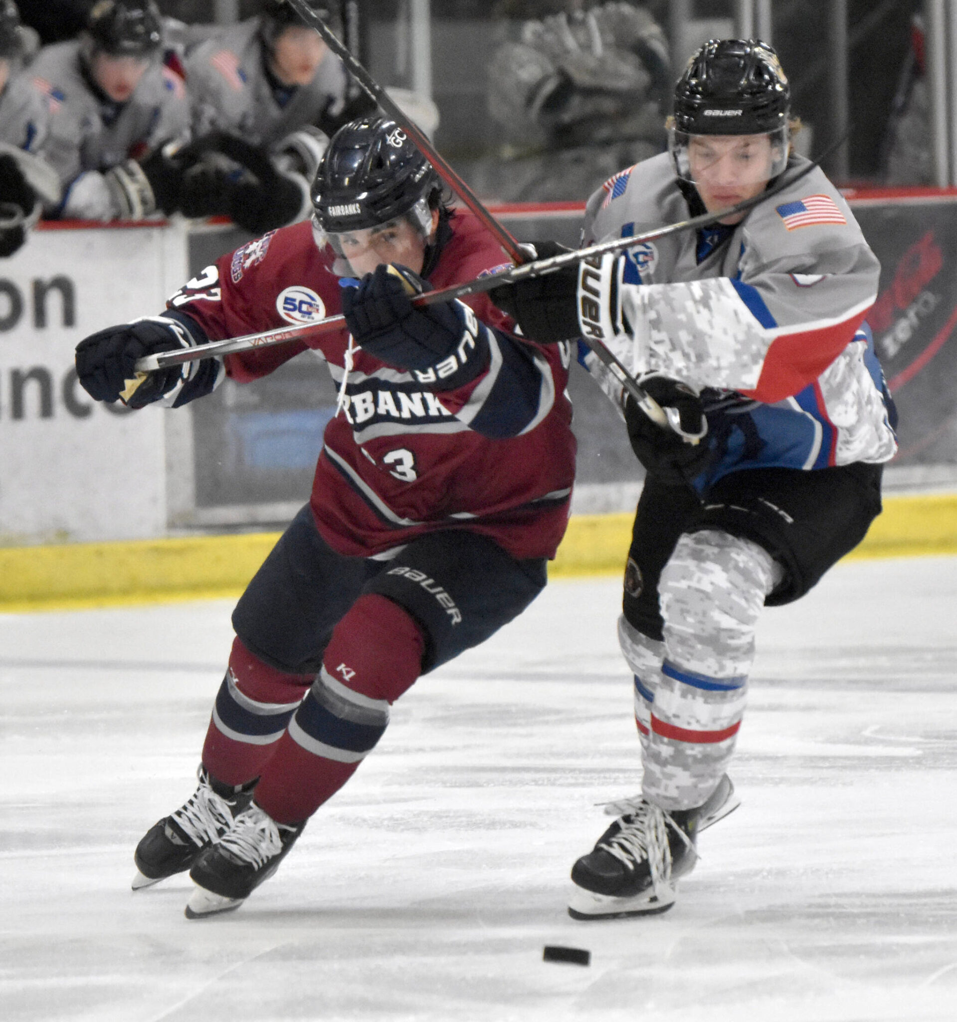 Brown Bears get 1 point out of 2-game set with Ice Dogs | Peninsula Clarion