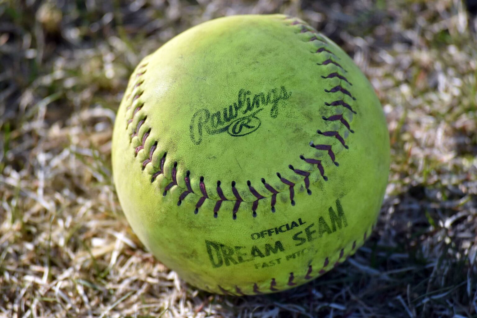 SoHi 2nd, Kenai 3rd at Division II state softball | Peninsula Clarion