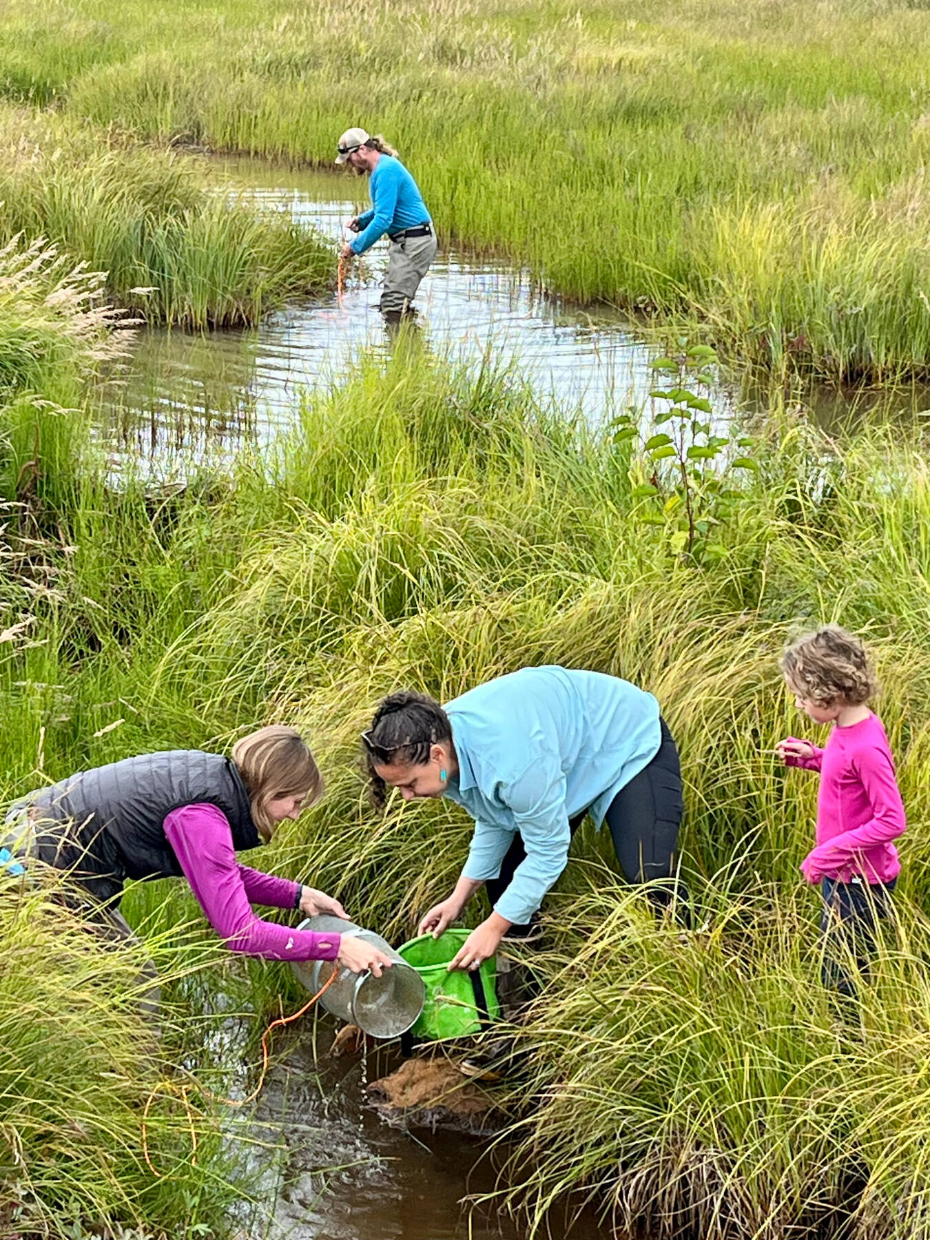 Cook Inletkeeper program promotes community engagement | Peninsula Clarion