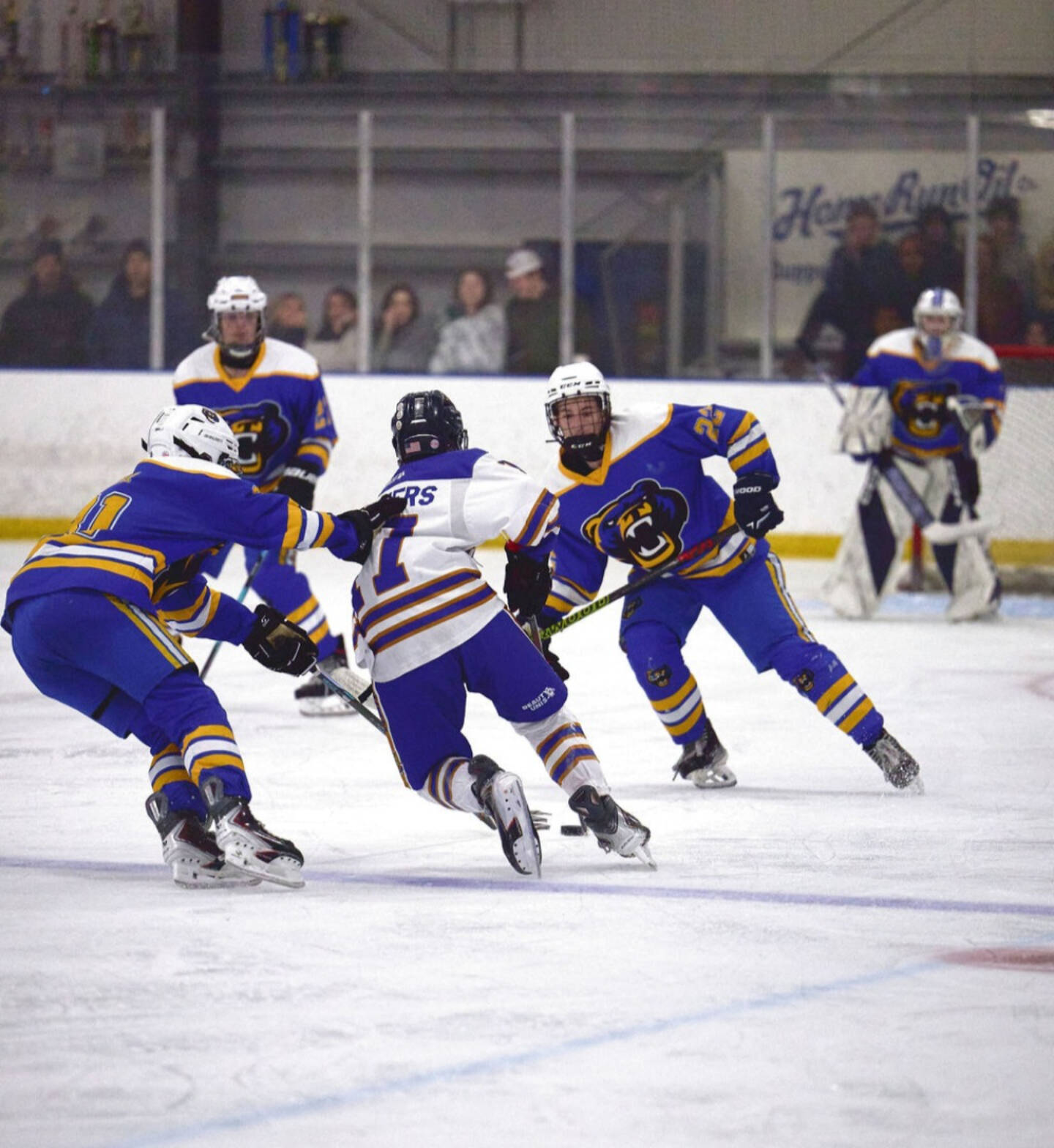 Sports briefs: Soldotna hockey, wrestling teams secure wins at weekend ...
