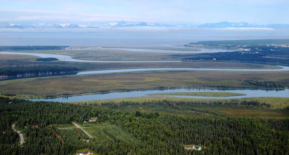 Refuge Notebook: Bird checklist of the Kenai Flats – It’s about time ...
