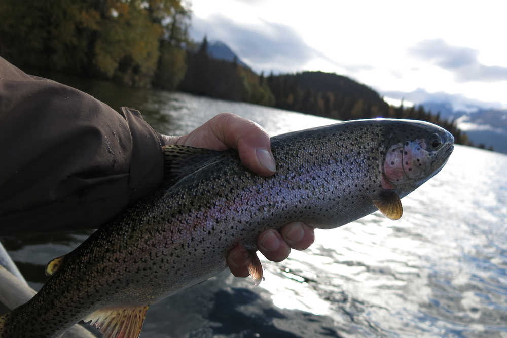 Tight Lines: Return to Upper Russian Lake | Peninsula Clarion