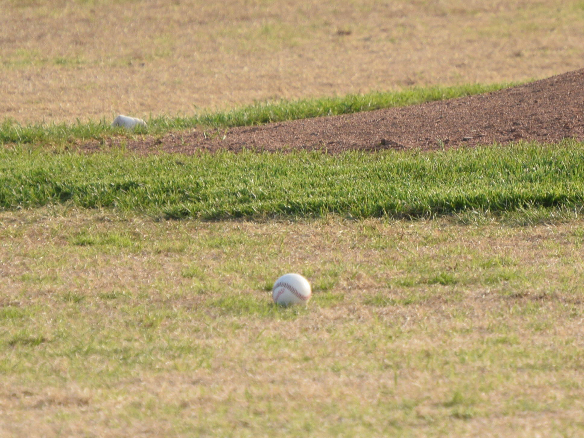 Saturday: Homer baseball tops Petersburg, Ketchikan | Peninsula Clarion