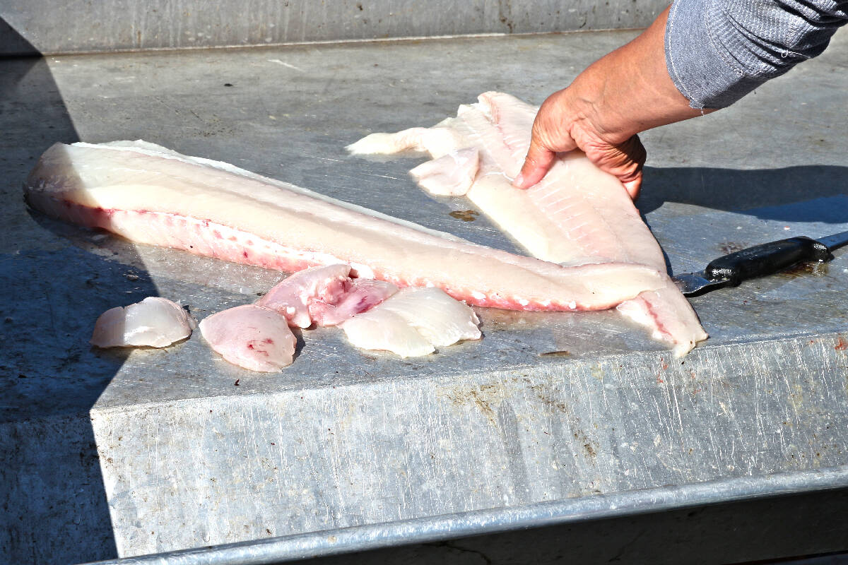 Kenai fishing guide faces numerous violations | Peninsula Clarion